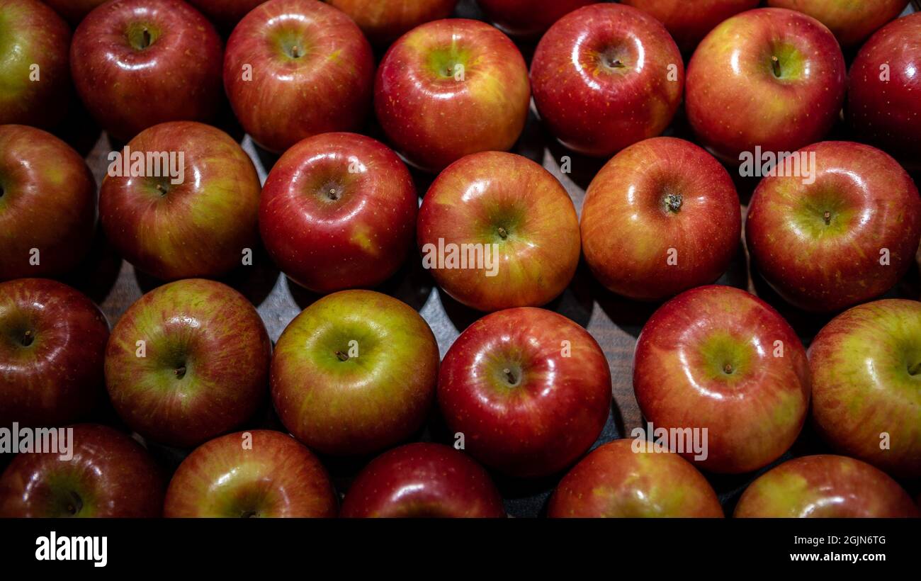 Fresh red apples on the market counter. Apples in the cardboard box on ...