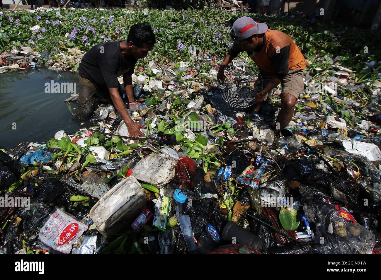 Pitch in garbage High Resolution Stock Photography and Images - Alamy