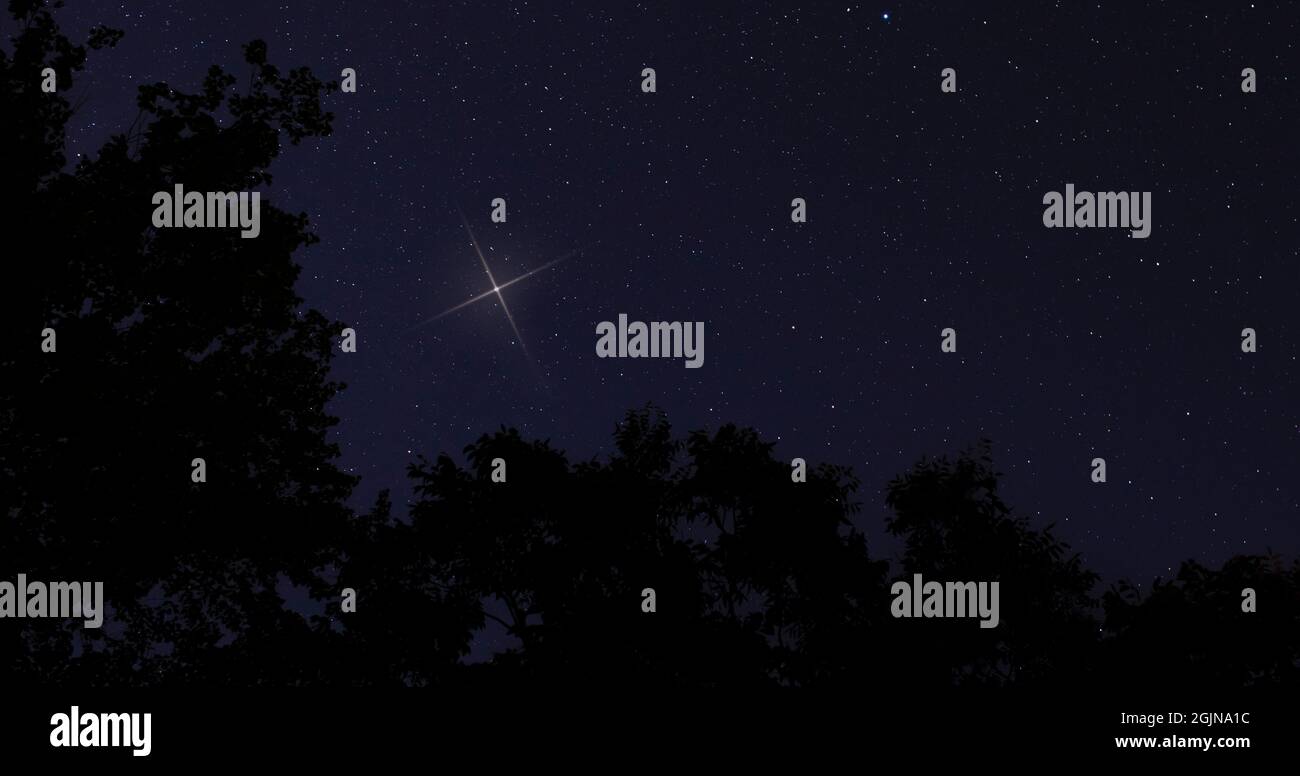 Christmas star at night rising above a line of trees in silhouette ...