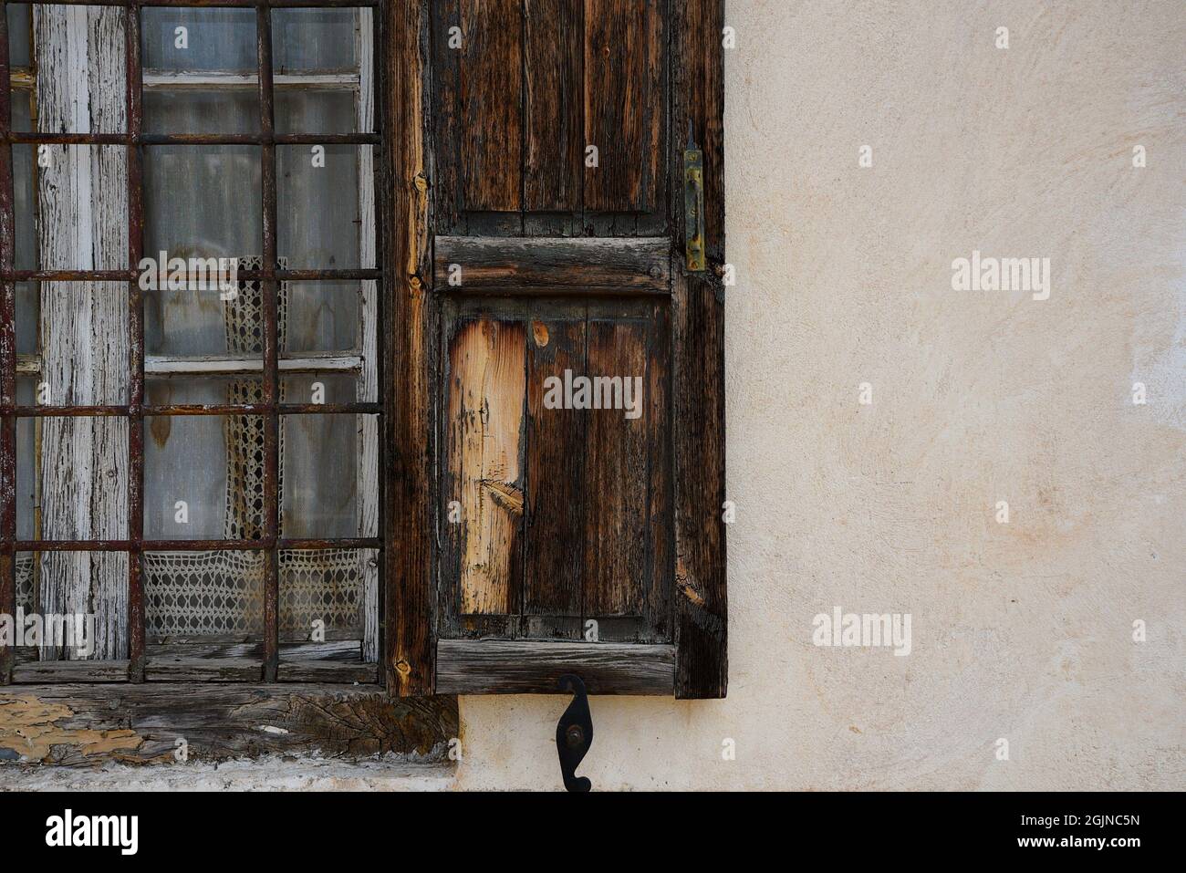 Shutter Dog High Resolution Stock Photography and Images - Alamy