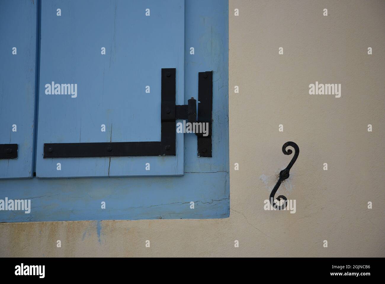 Shutter Dog High Resolution Stock Photography and Images - Alamy