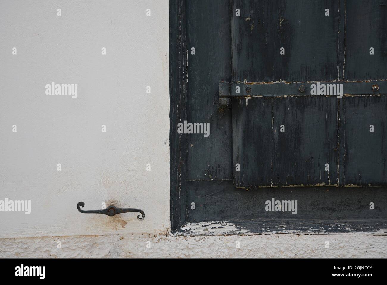Shutter Dog High Resolution Stock Photography and Images - Alamy