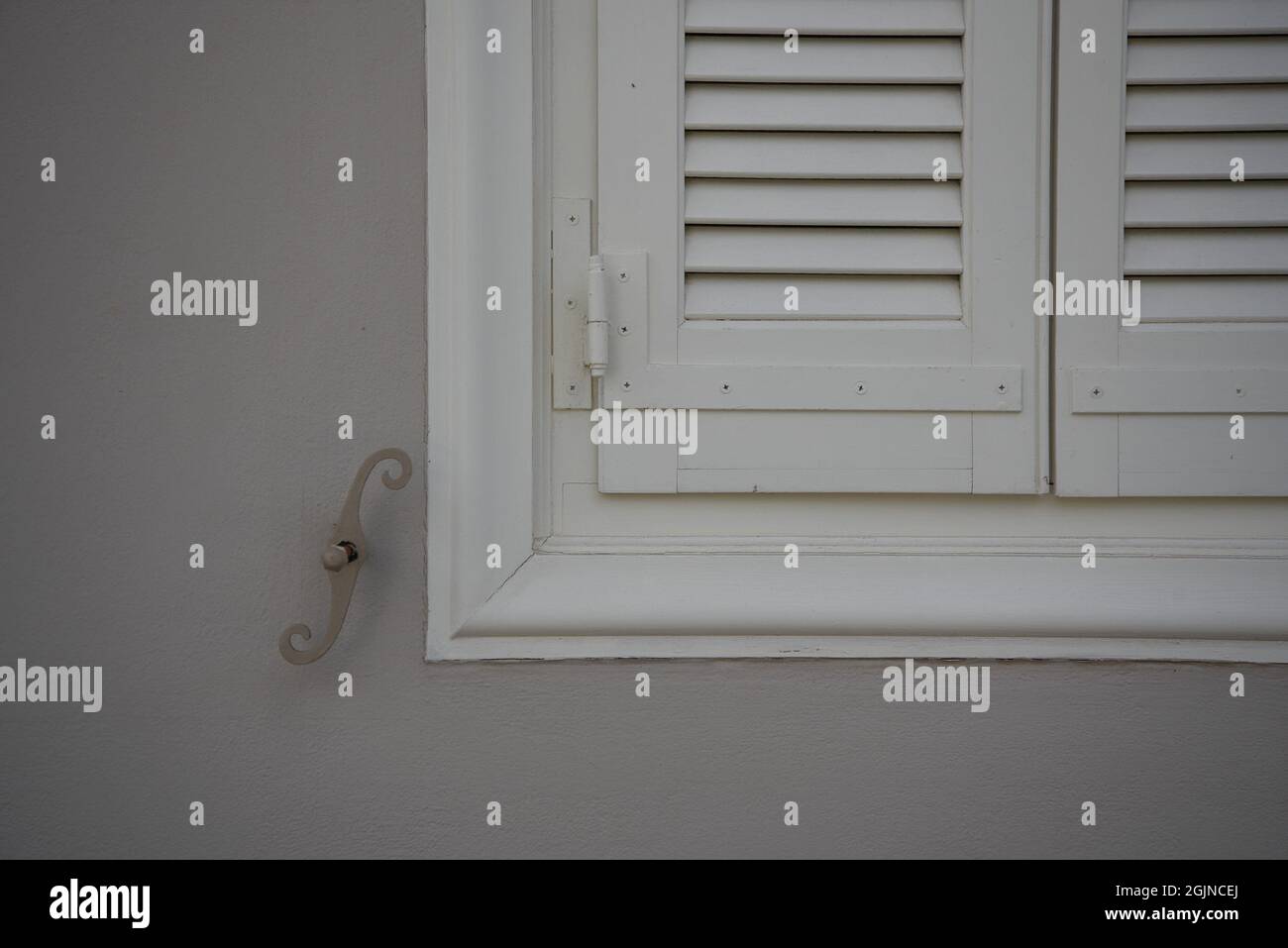 Shutter Dog High Resolution Stock Photography and Images - Alamy