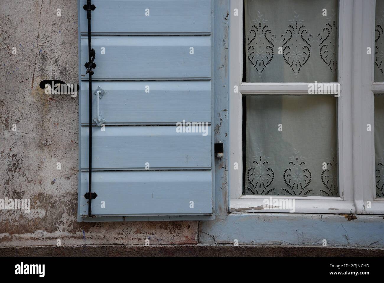 Shutter Dog High Resolution Stock Photography and Images - Alamy