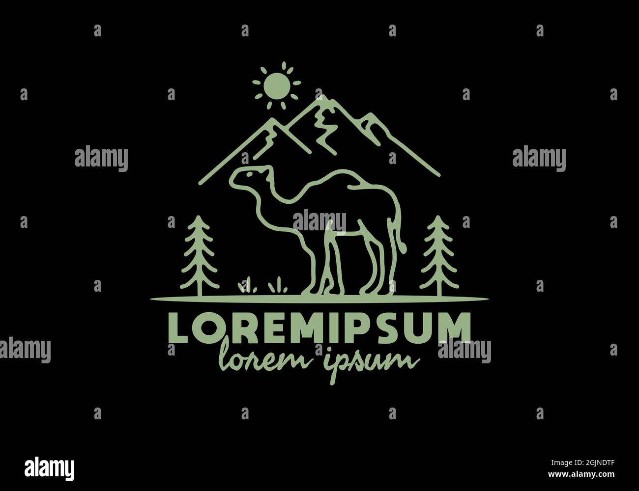 Line art illustration of camel design Stock Vector Image & Art - Alamy