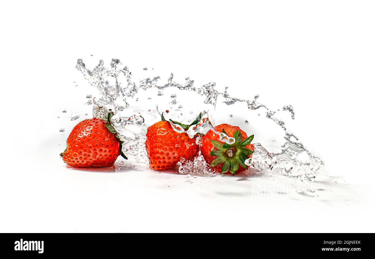 Strawberries in water splash, isolated on white background Stock Photo ...