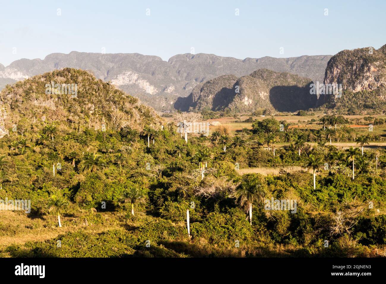 Morning view of Vinales valley with mogotes limestone hills , Cuba ...