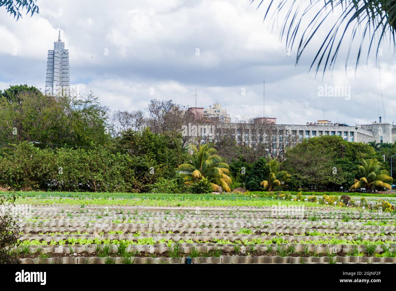 Monument of Jose Marti behind vegetable garden, Havana, Cuba Stock ...