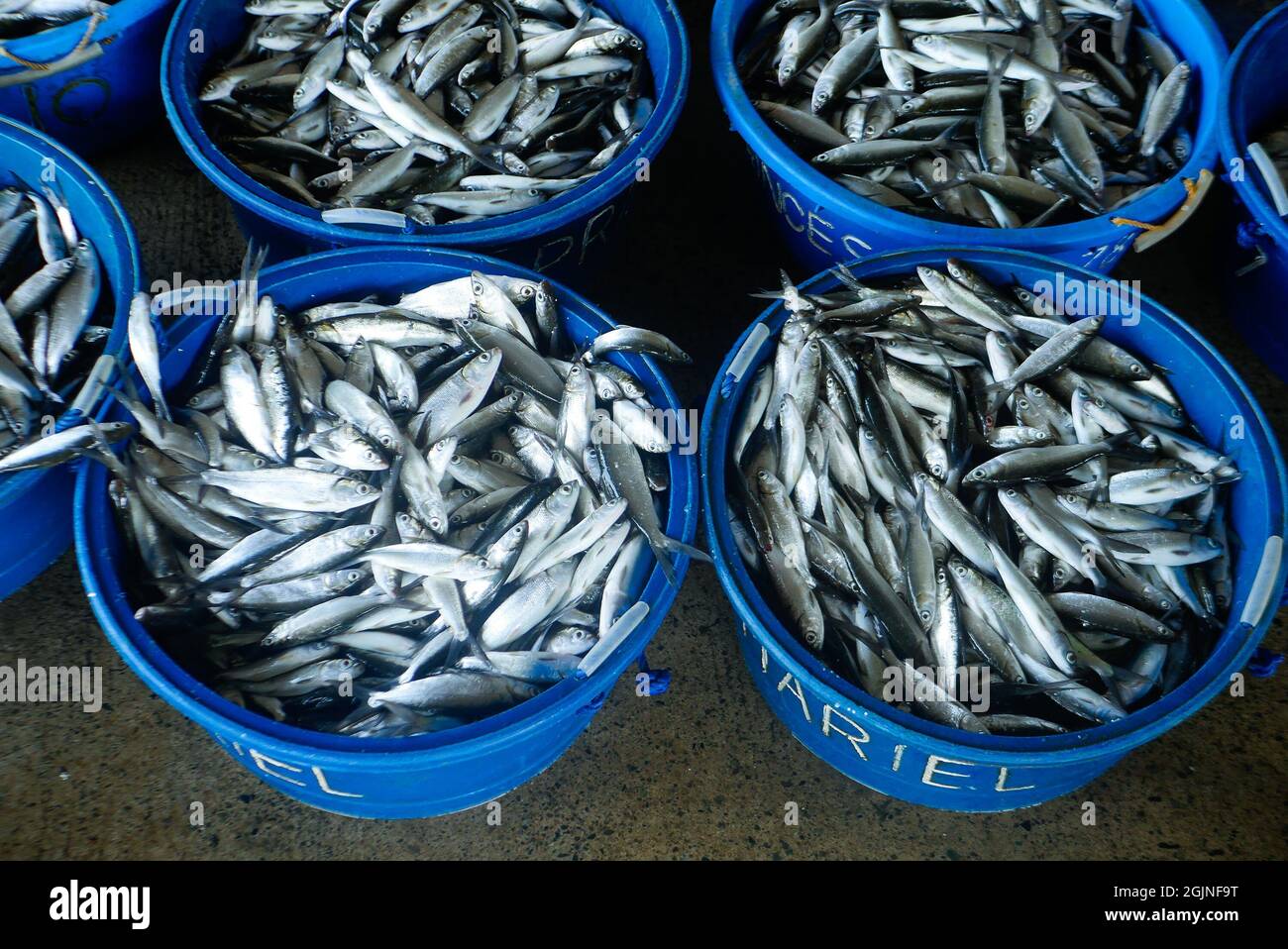 Bulacan philippines hi-res stock photography and images - Alamy