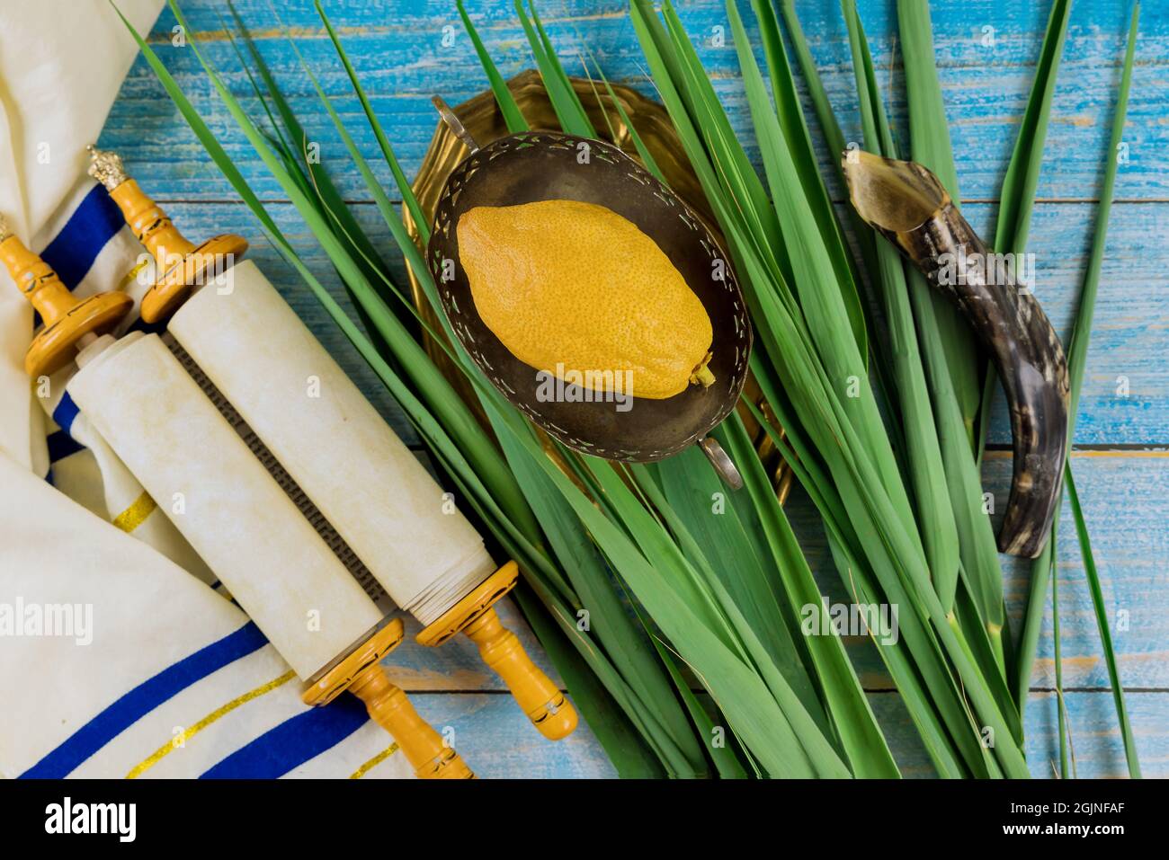 Traditional symbols of Sukkot with four species etrog lulav hadas arava ...