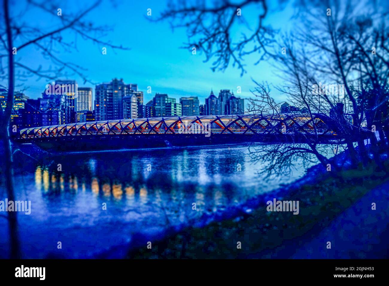 Downtown Calgary City Skyline at night with lights Stock Photo - Alamy