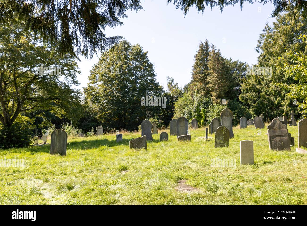 A general View of the graves and trees at Locksbrook Cemetery, Bath UK ...
