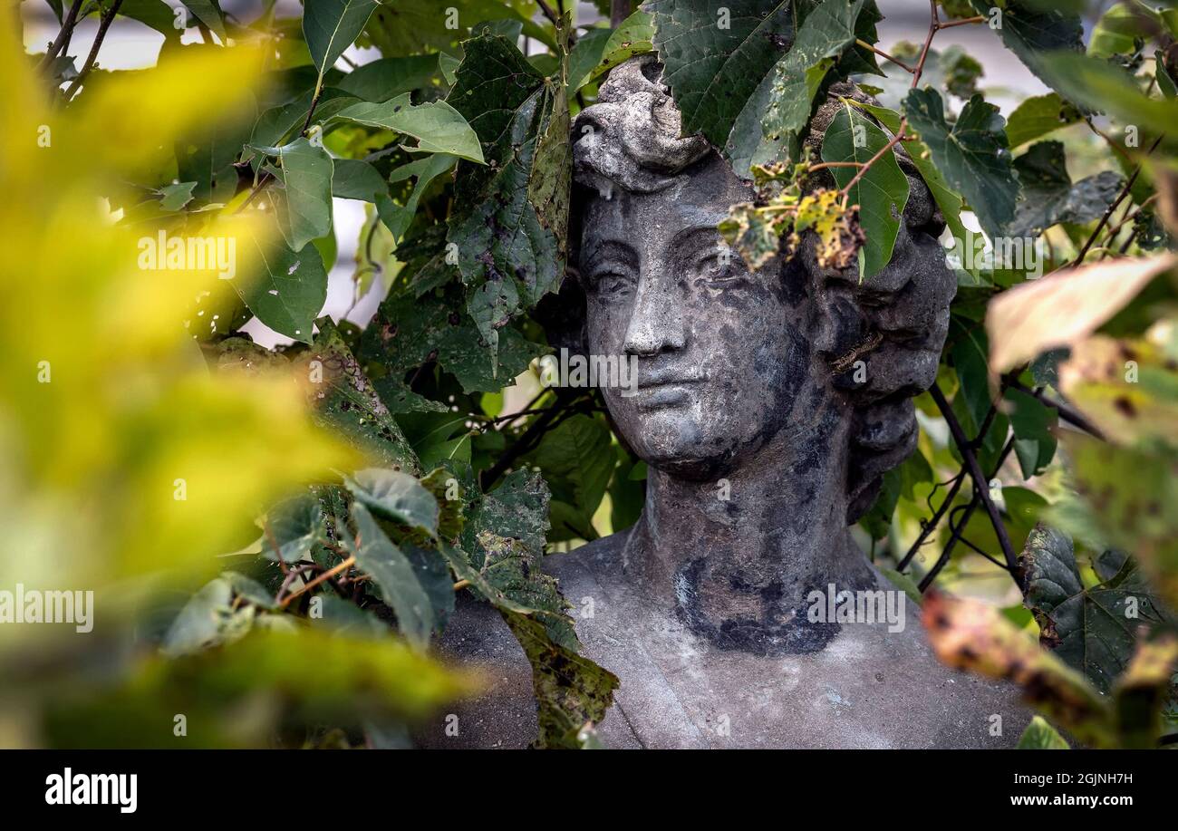 Hidden artifact hi-res stock photography and images - Alamy