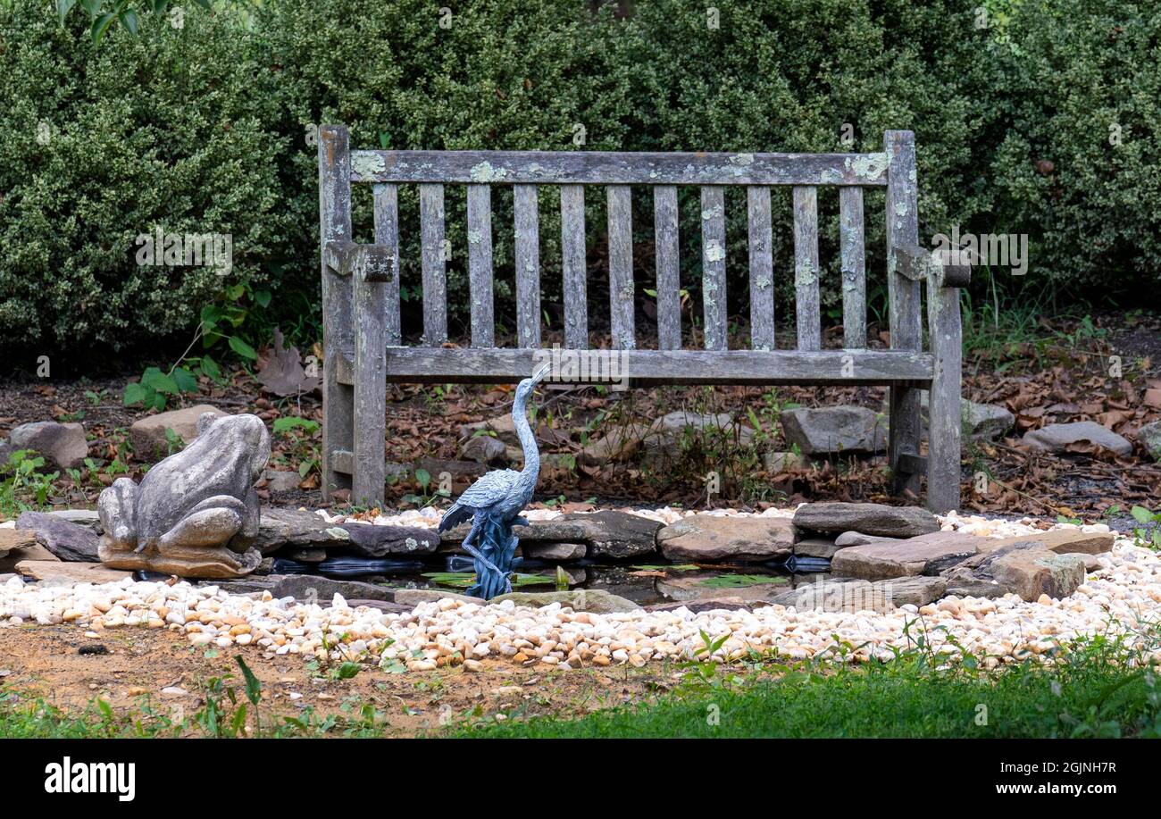 A frog and a Heron tend to a neglected park bench Stock Photo - Alamy