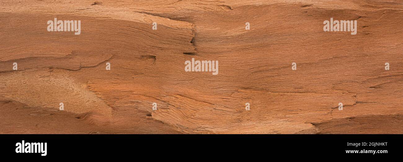 Seamless wood veneer texture hi-res stock photography and images - Alamy