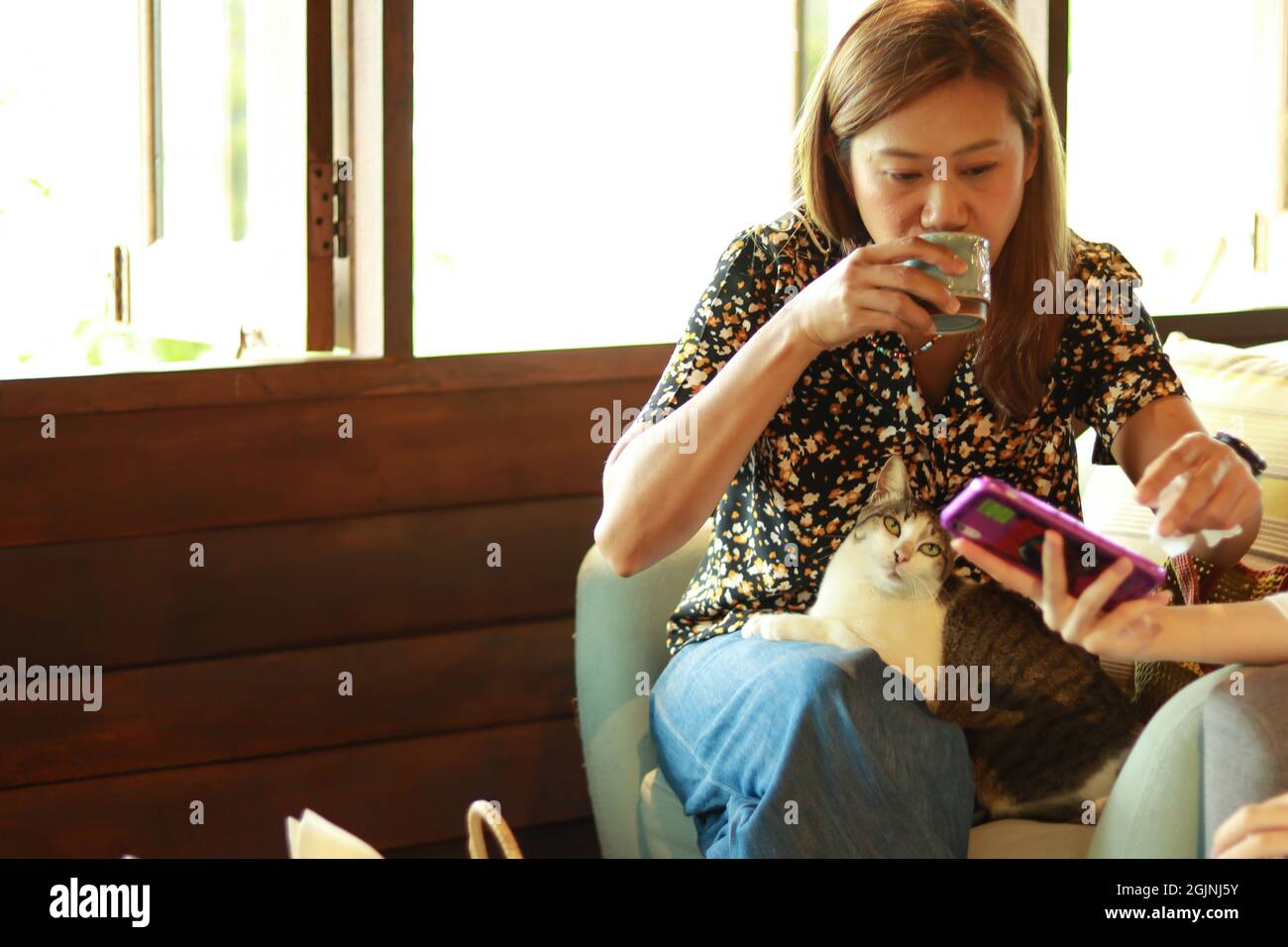 Asian girl cat hi-res stock photography and images - Alamy