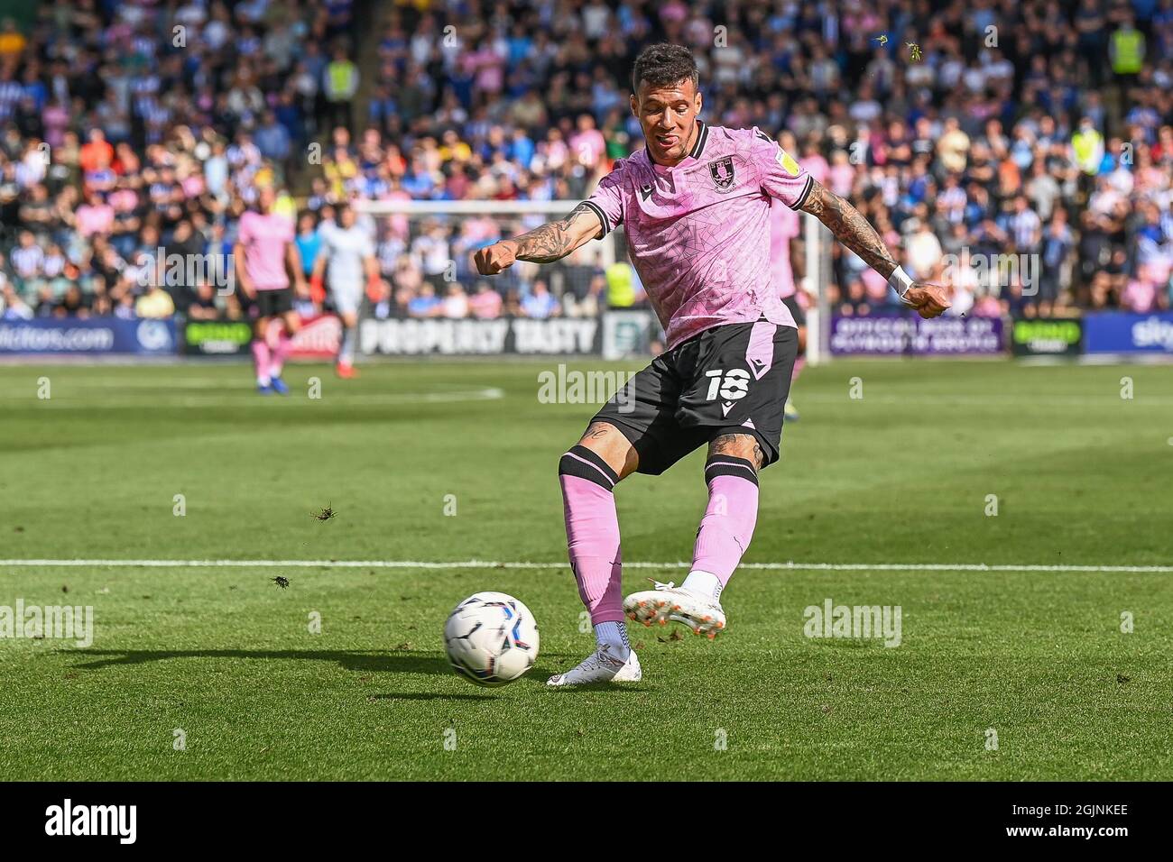 Marvin Johnson #18 of Sheffield Wednesday shoots on goal Stock Photo ...