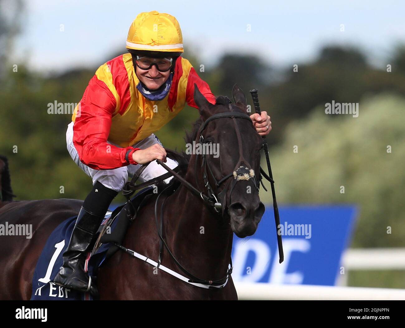 Ever present horse hi-res stock photography and images - Alamy