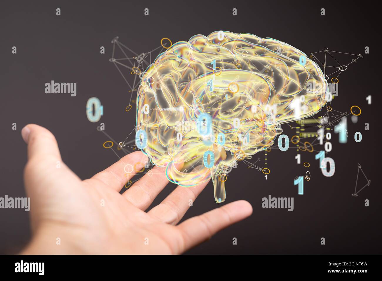 Closeup of 3D rendered human brain anatomical model hovering in man’s ...