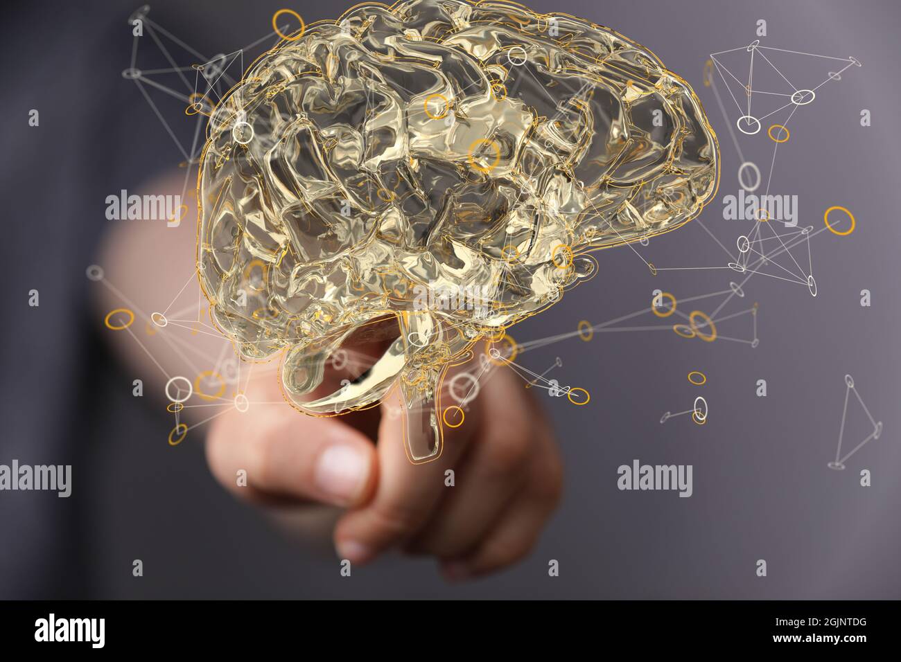 Closeup of a man pointing into 3D rendered human brain anatomical model ...
