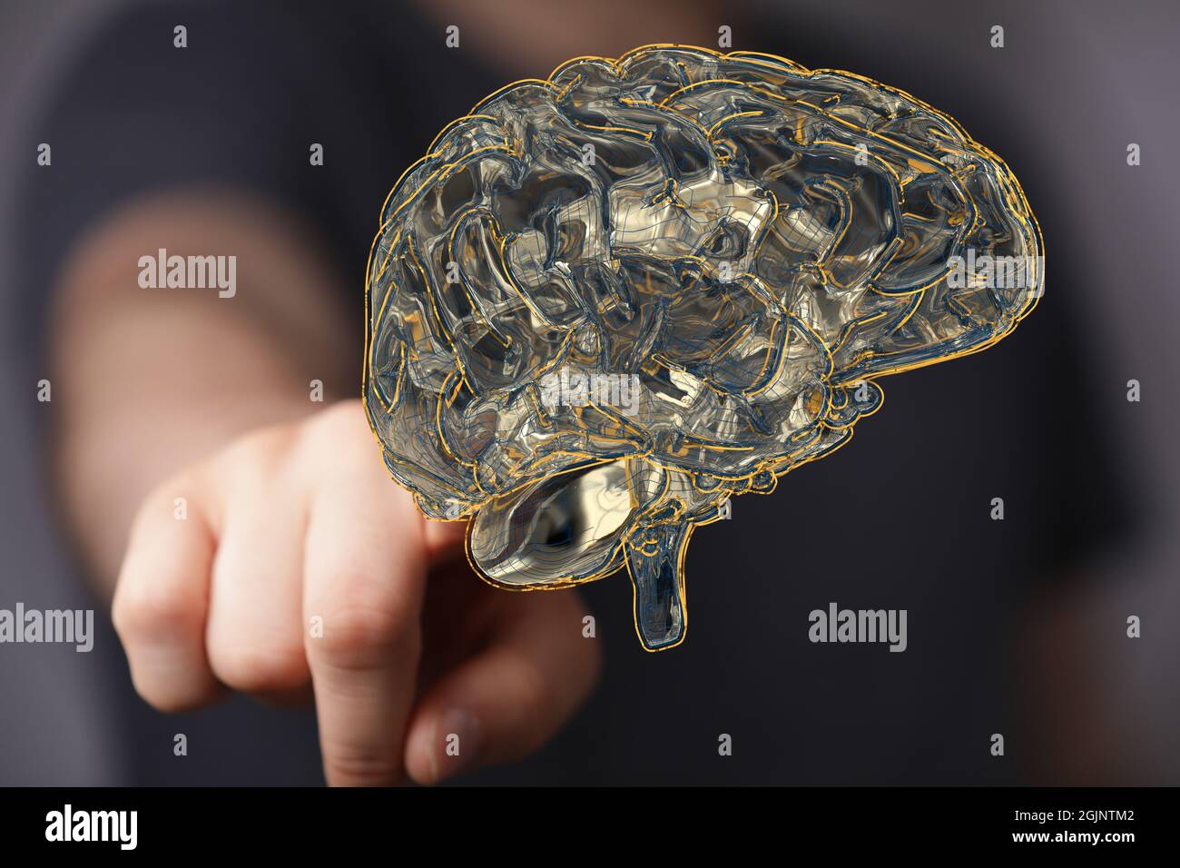 Closeup of a man pointing into 3D rendered human brain anatomical model ...