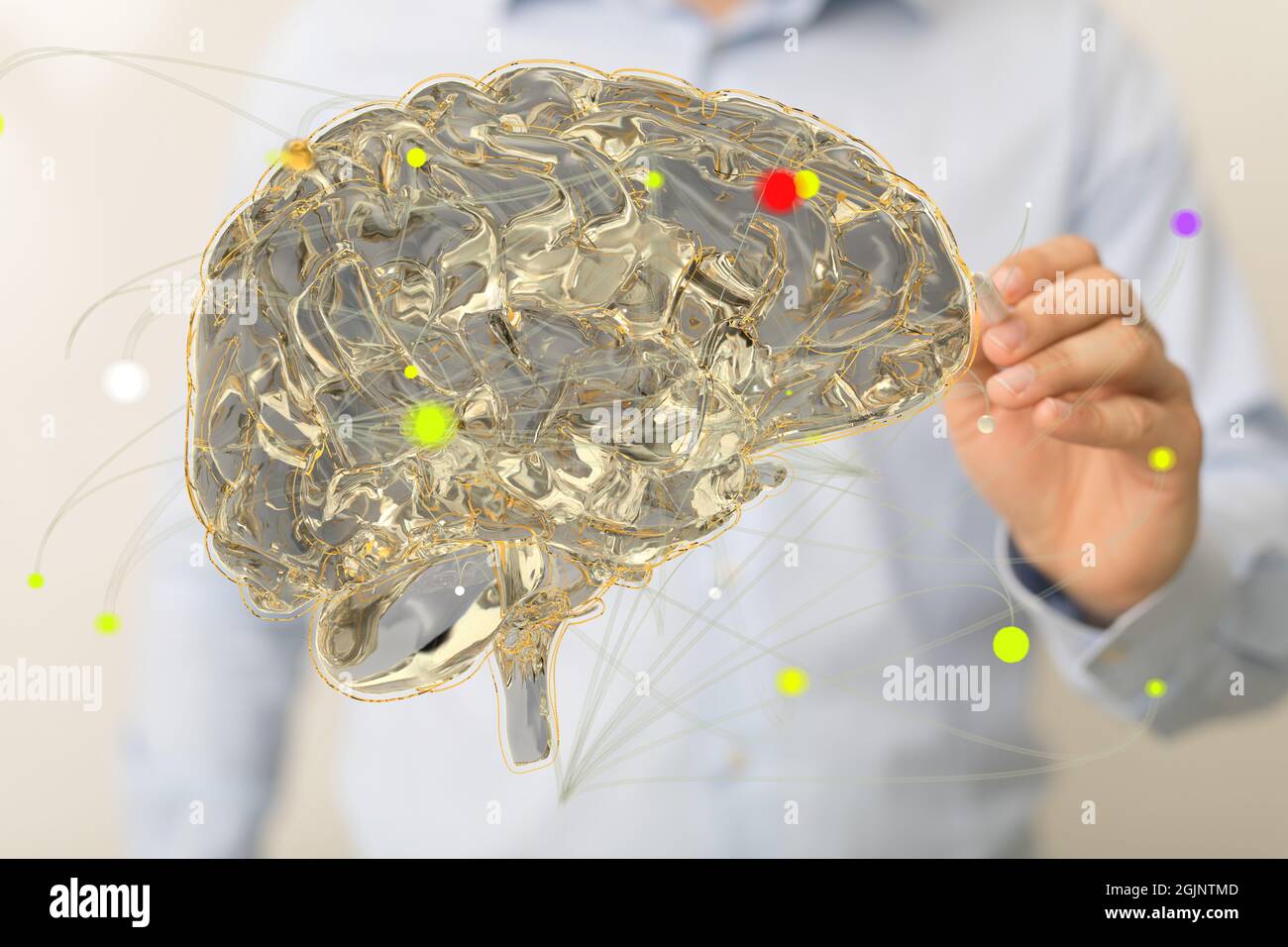 Closeup of a man pointing into 3D rendered human brain anatomical model ...