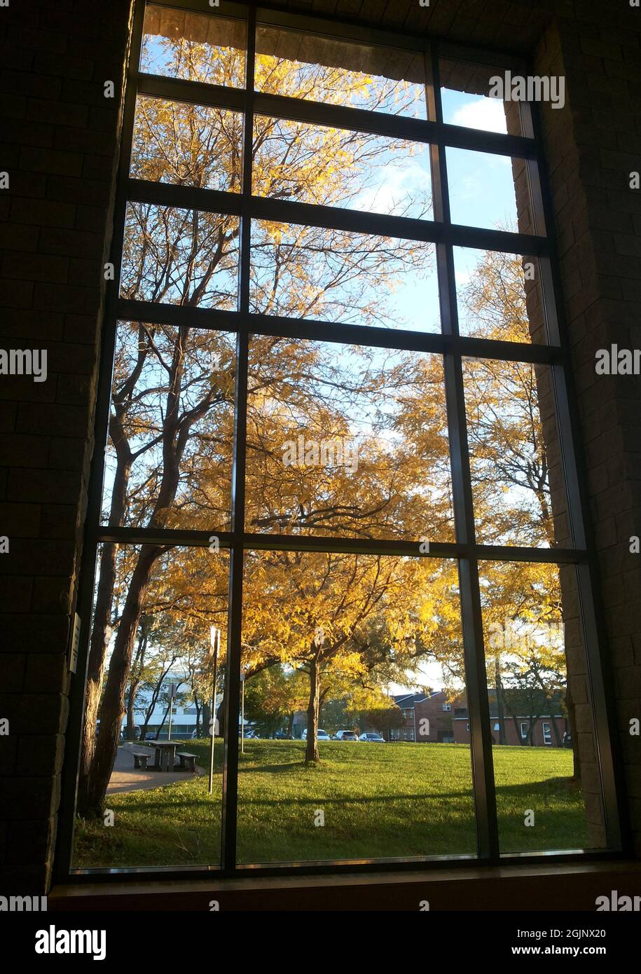 Leves changing colours hi-res stock photography and images - Alamy