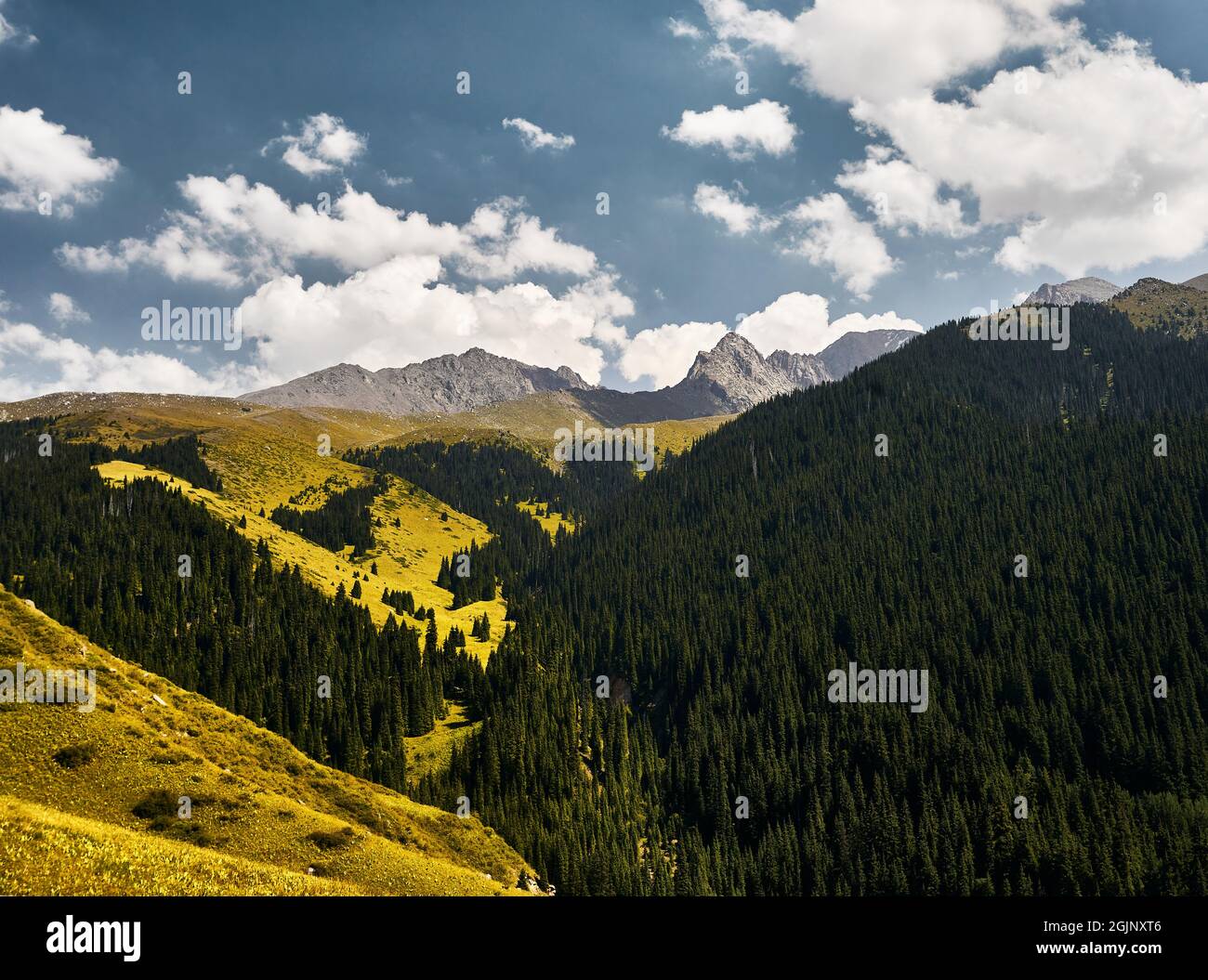 Beautiful scenery of the mountain valley and green lush forest in ...