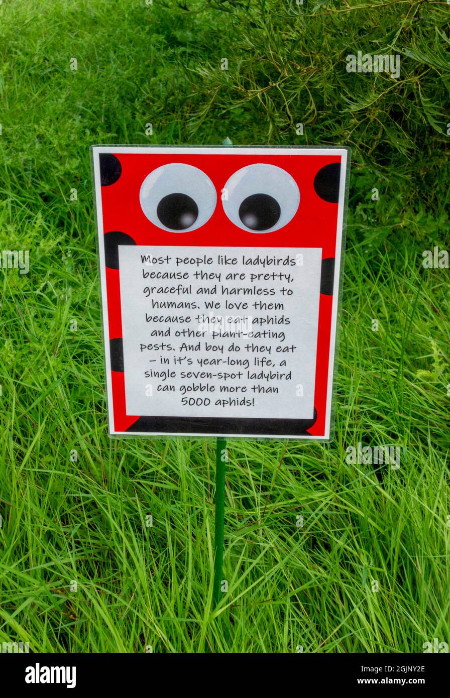 Ladybird information sign Stock Photo - Alamy
