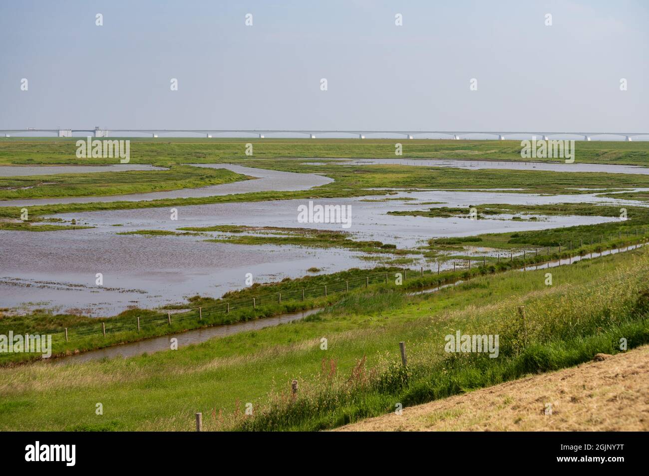 Aerial view and green nature landscape of province Zeeland, Netherlands ...