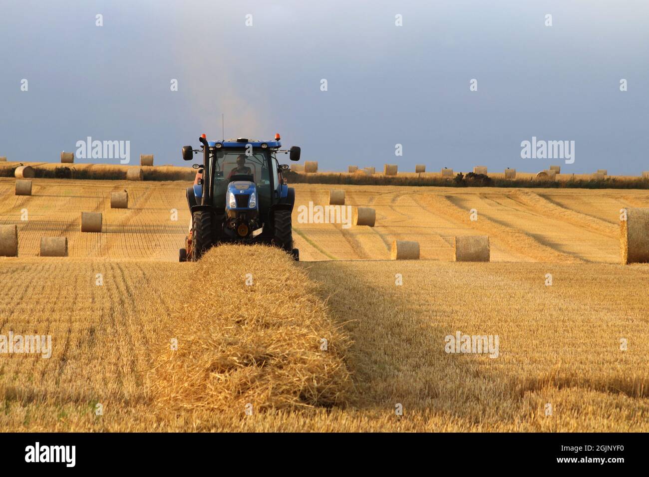 Harvest crop rolls cut farm industry hi-res stock photography and ...