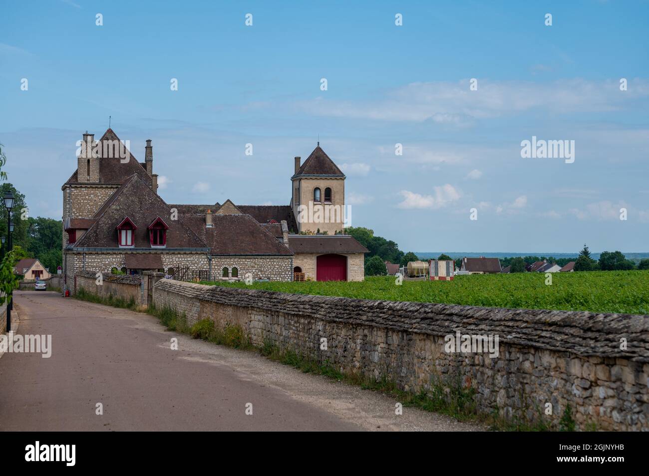 Green walled grand cru and premier cru vineyards with rows of pinot ...