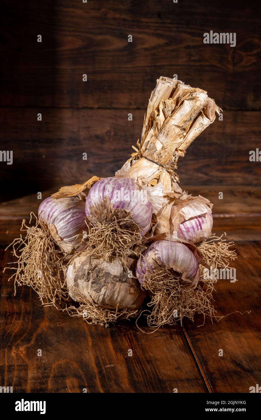 Bunch of fresh young violet organic garlic on market in Provence ...