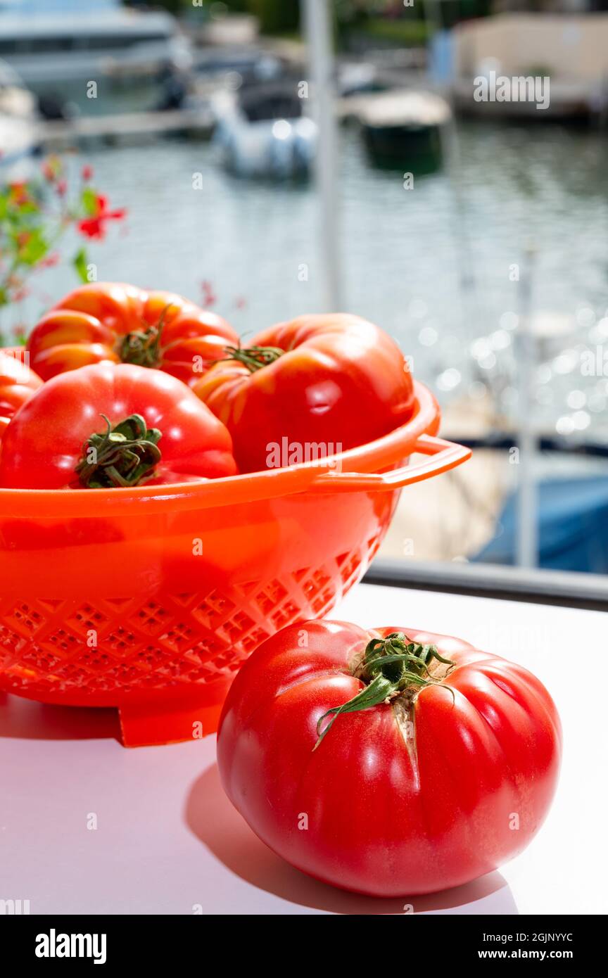 Tasty big ripe french tomatoes from Provence ready to eat in healthy ...