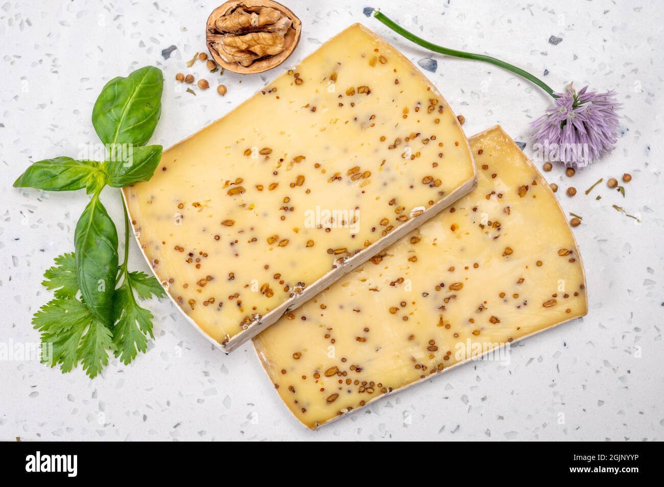 Cheese collection, matured yellow cow cheese with mustard seeds from ...