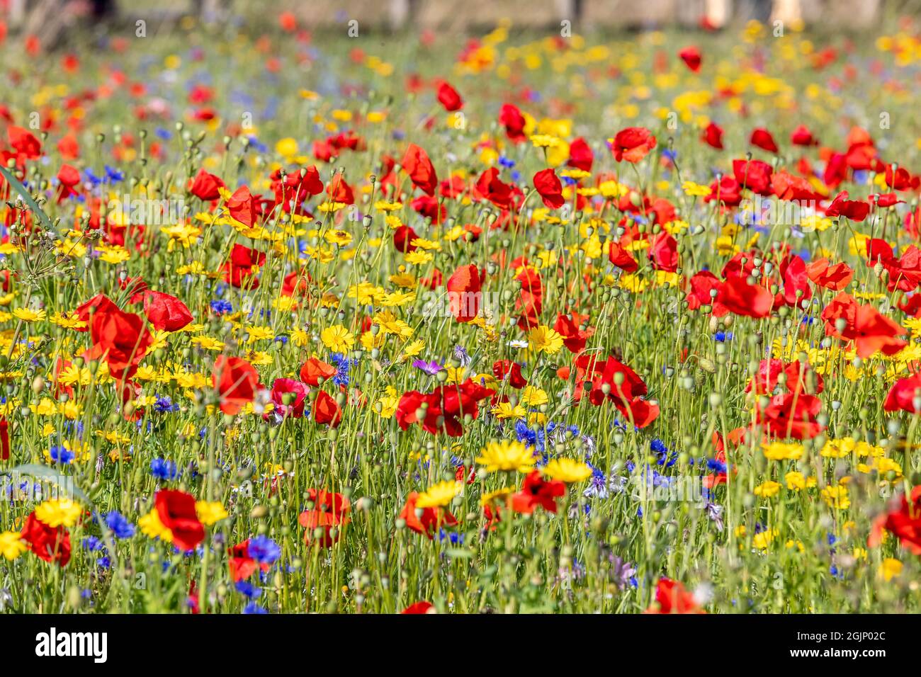 Creaton hi-res stock photography and images - Alamy