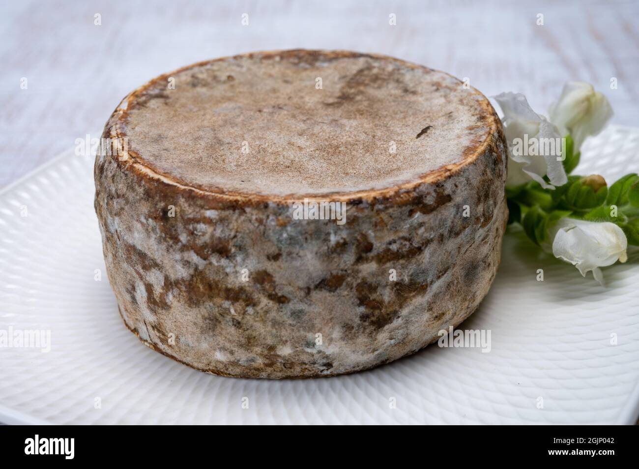 Cheese collection, matured cow cheese with mold tommette de savoie from ...
