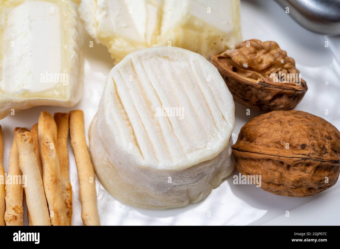 Cheese collection, soft goat French cheese with mold crottin de ...