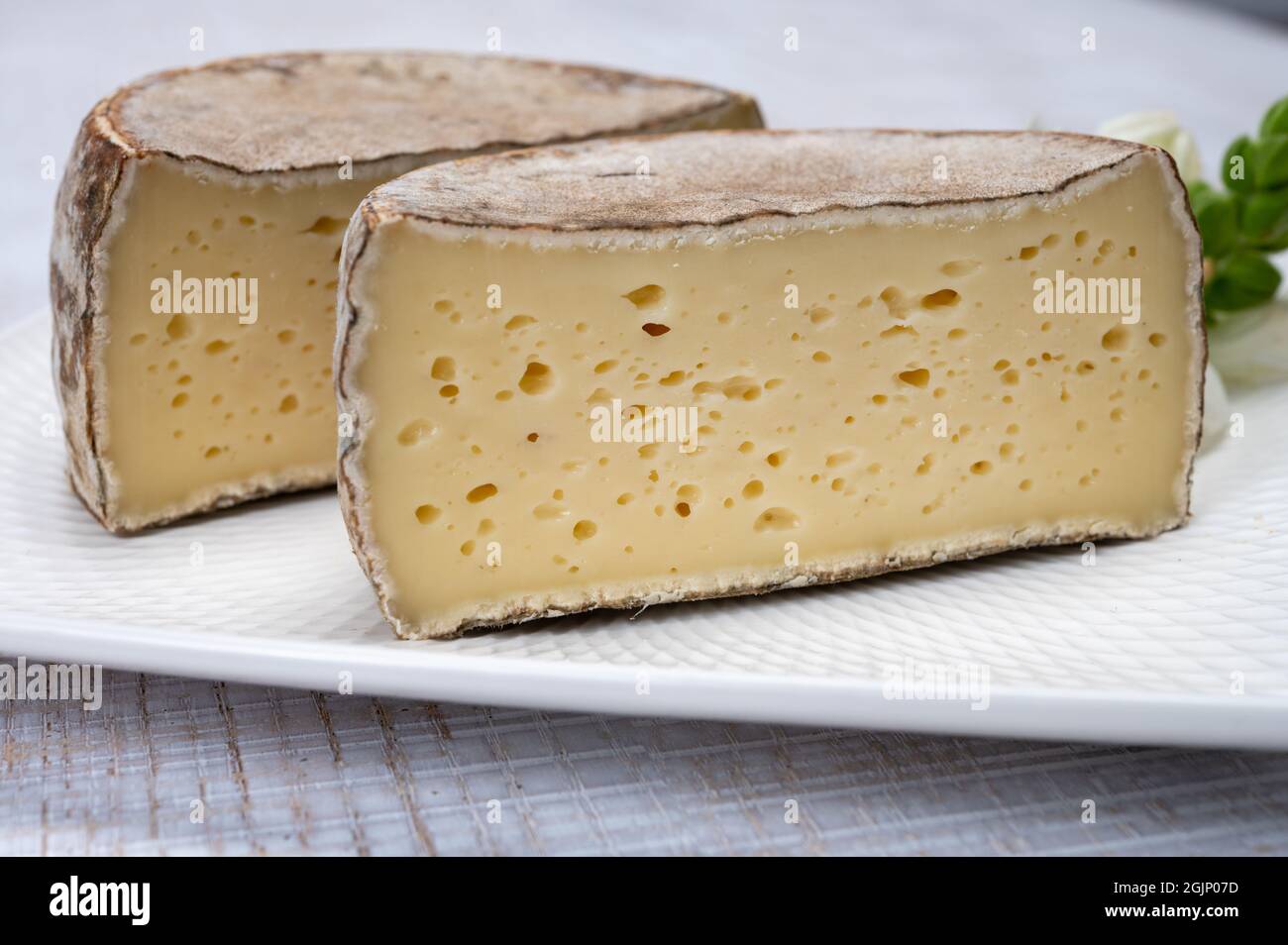 Cheese collection, matured cow cheese with mold tommette de savoie from ...