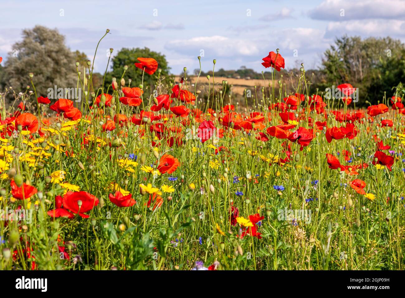 Creaton hi-res stock photography and images - Alamy