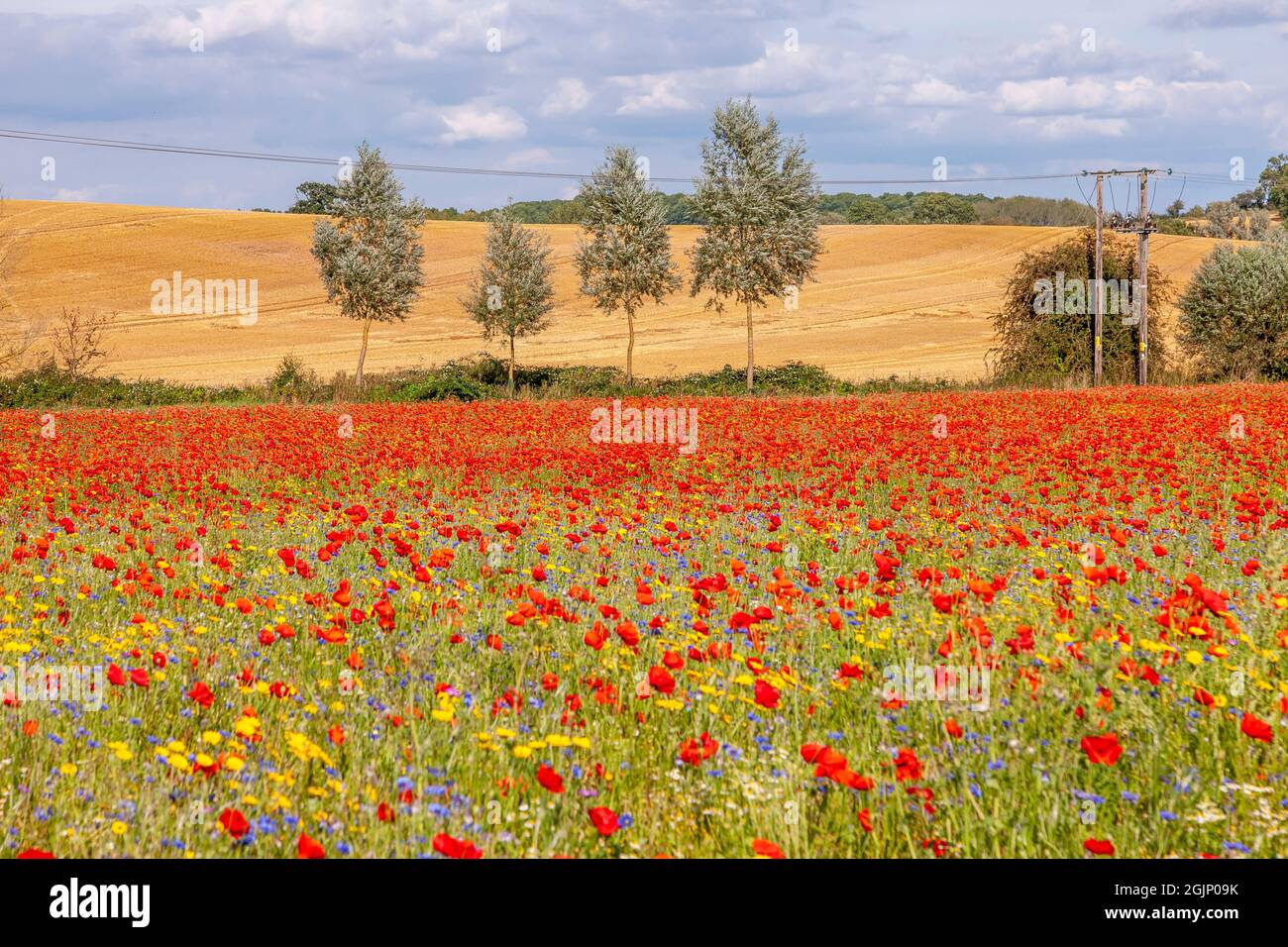 Creaton hi-res stock photography and images - Alamy