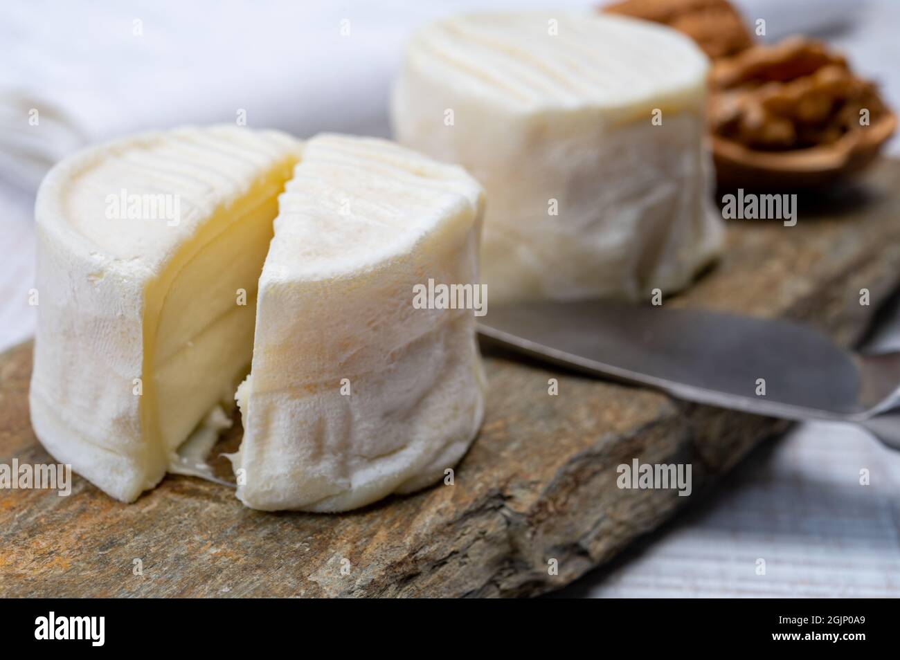 Cheese collection, soft goat French cheese with mold crottin de ...