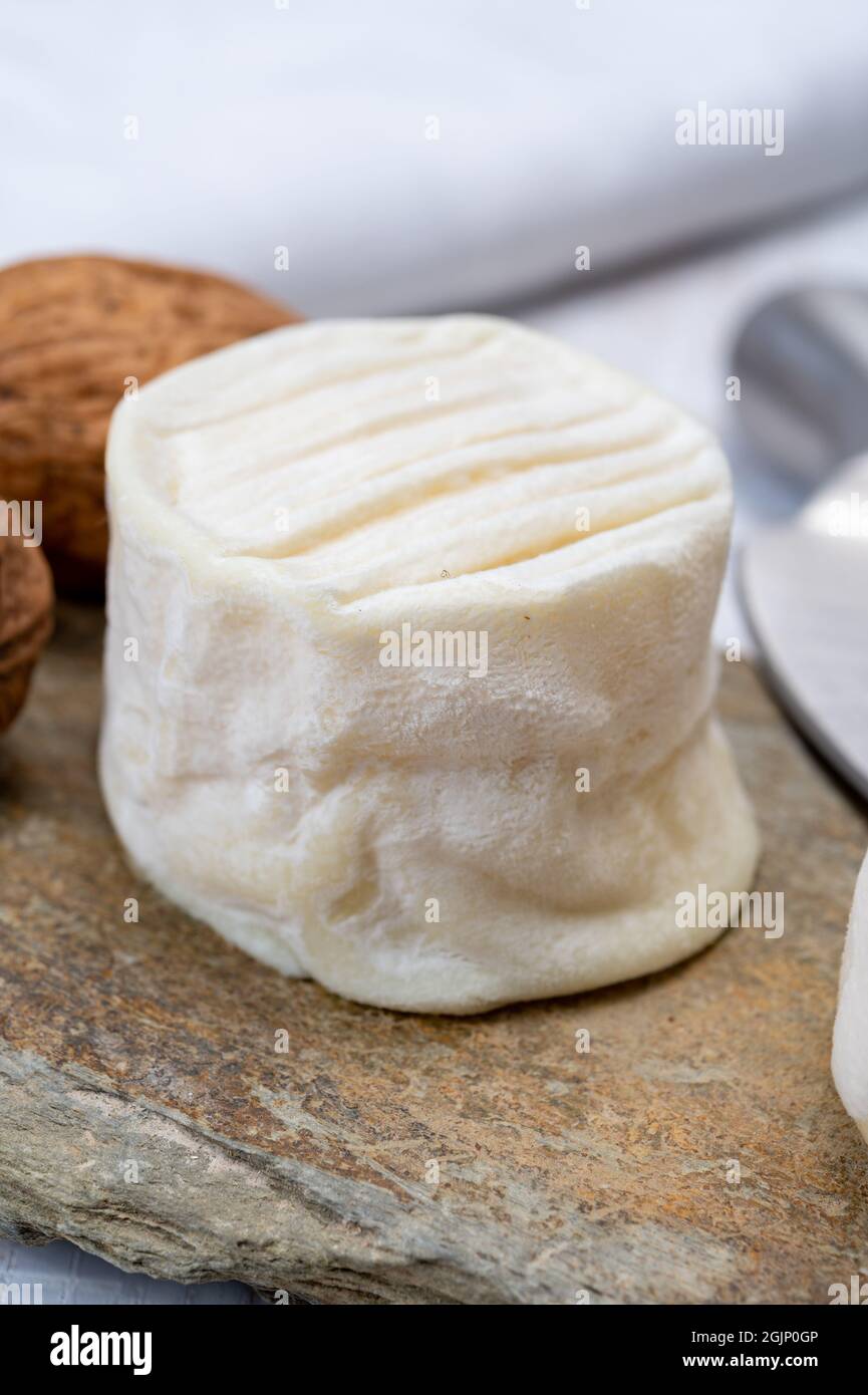 Cheese collection, soft goat French cheese with mold crottin de ...