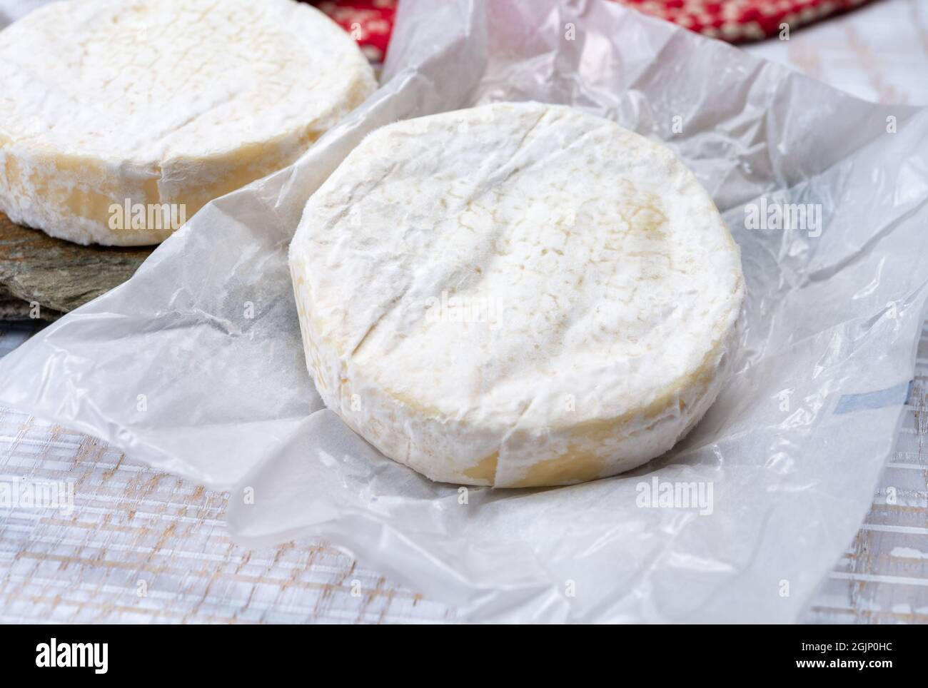 Cheese collection, fresh white soft cow cheese with mold from Swiss ...