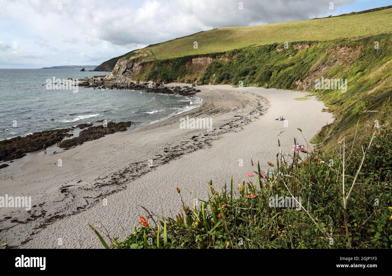 Plants on clifftop hi-res stock photography and images - Alamy