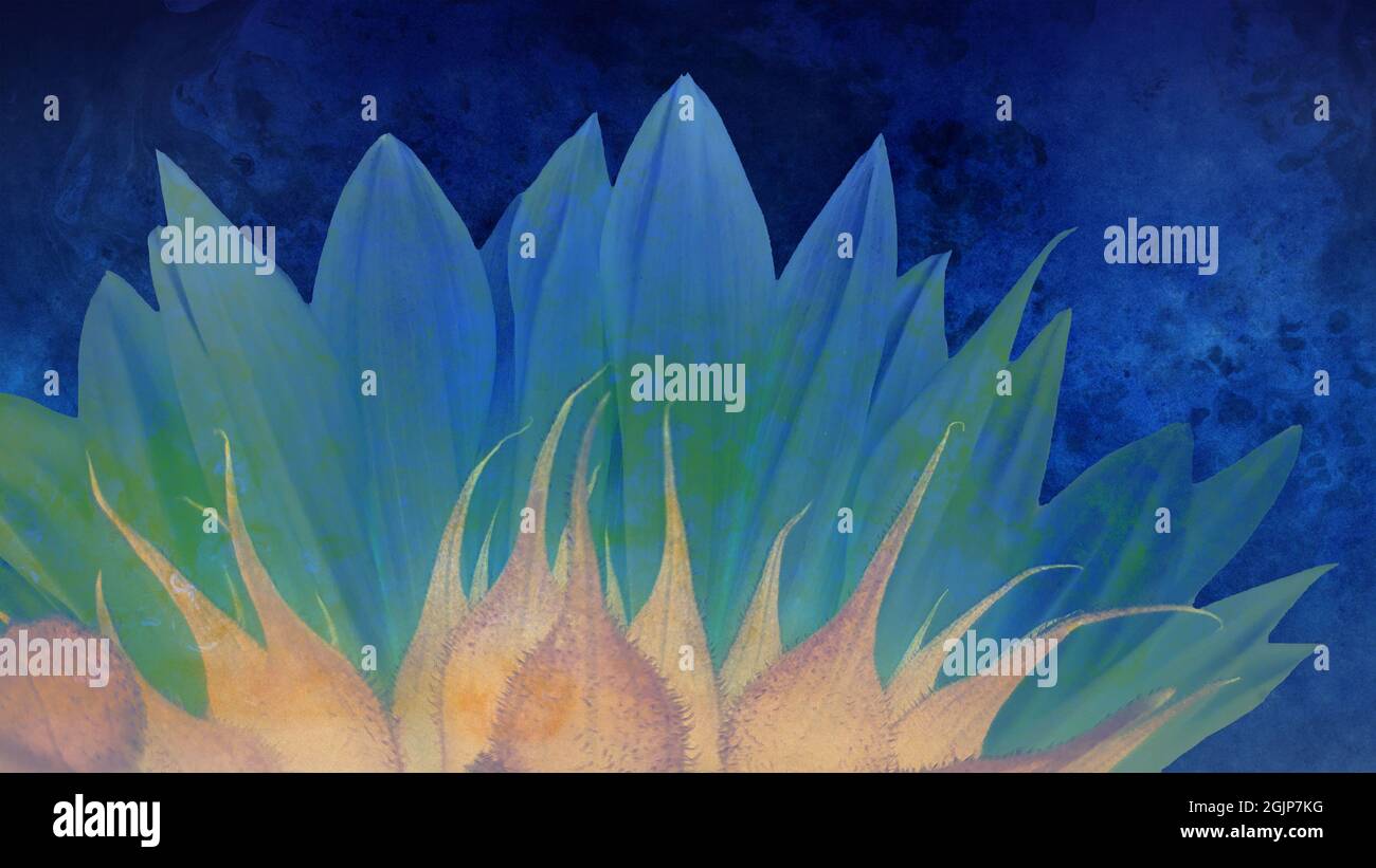 Sunflower abstract background Stock Photo - Alamy