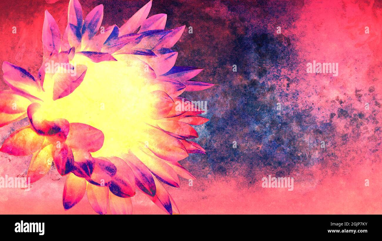 Sunflower abstract background Stock Photo - Alamy