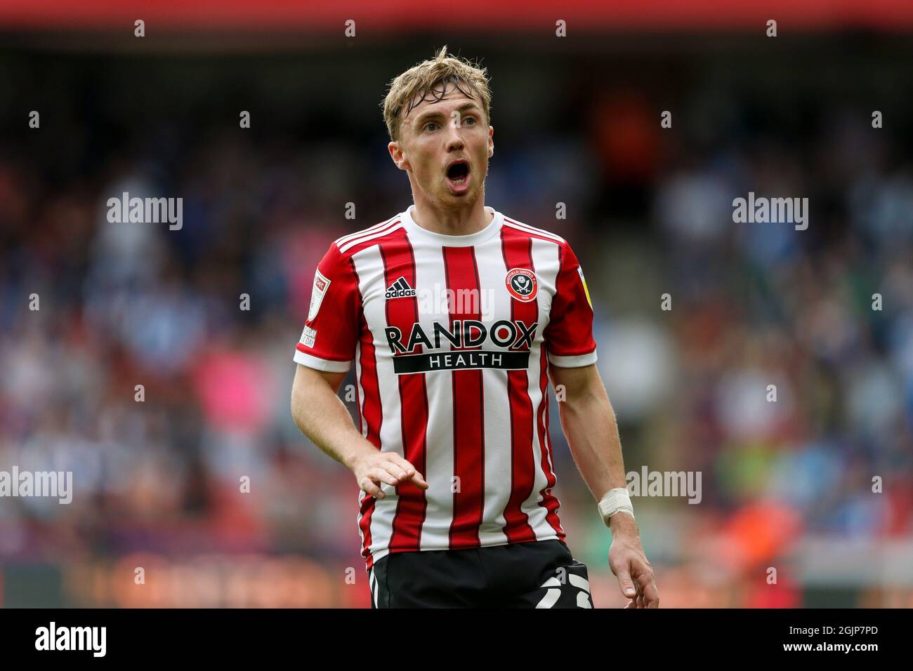 Sheffield united hi-res stock photography and images - Alamy