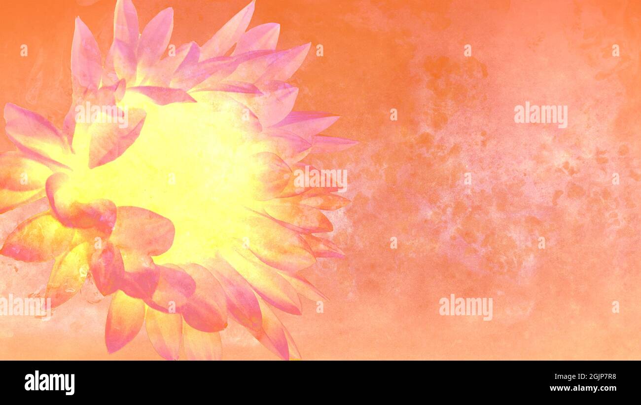 Sunflower abstract background Stock Photo - Alamy