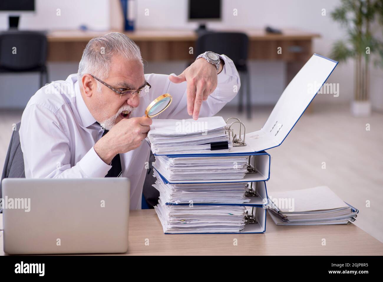 Old auditor working in the office Stock Photo - Alamy